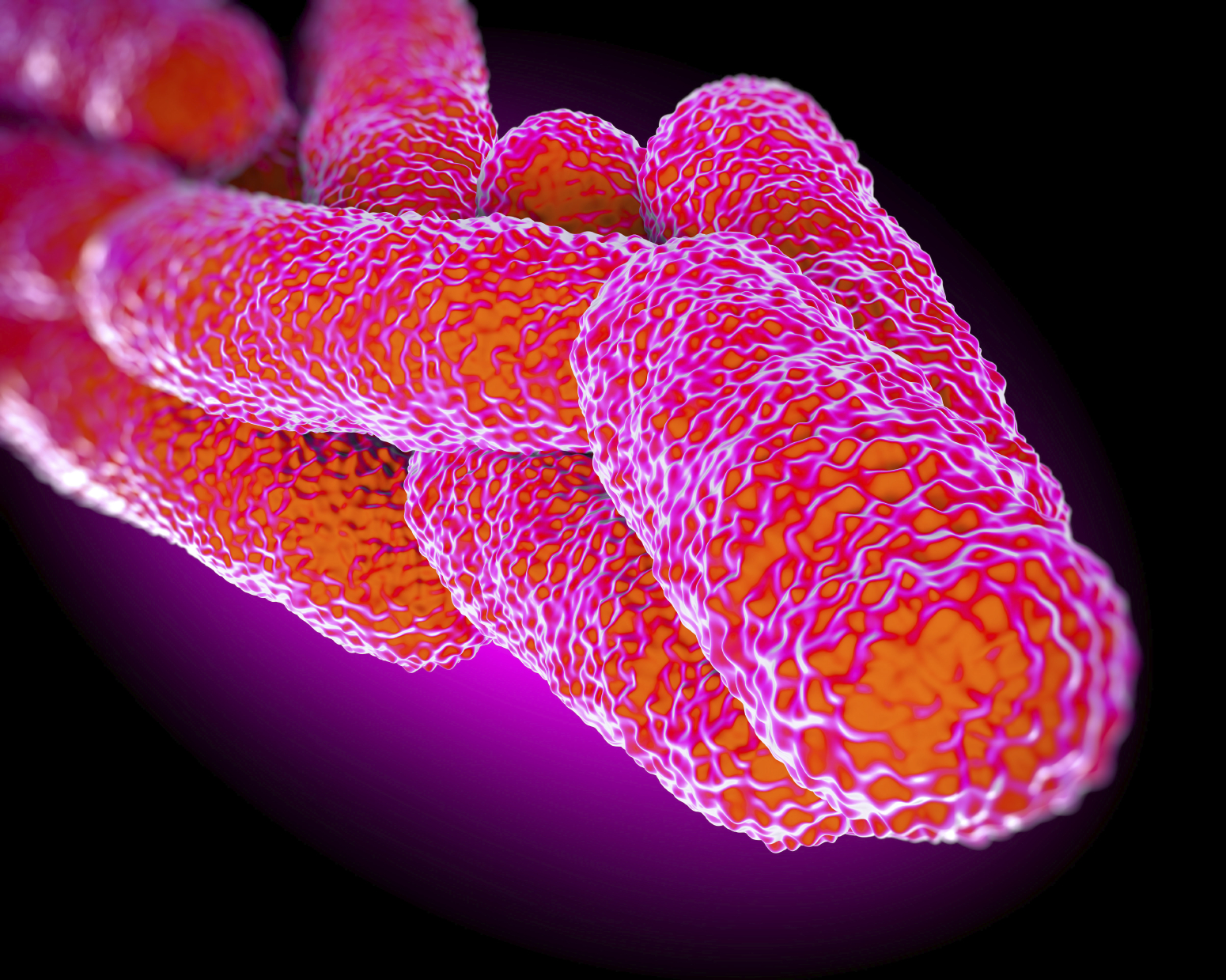 Legionella Control | Guardian Legionella Control | Guardian